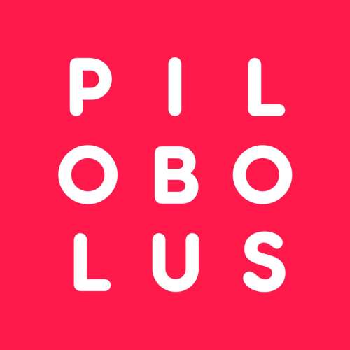 Pilobolus Balance Class, Performance Planned, Monday Night In Sandy ...