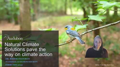Audubon Reveals How Climate Change Is Hastening Extinction To Many Bird ...