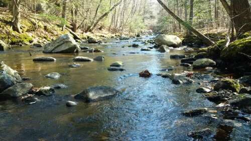 Halfway River Open Space Welcomes The Public – The Newtown Bee