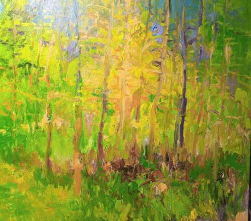 ‘Old Growth,’ Featuring Roberta Shea’s Art, On View In Hartford – The ...