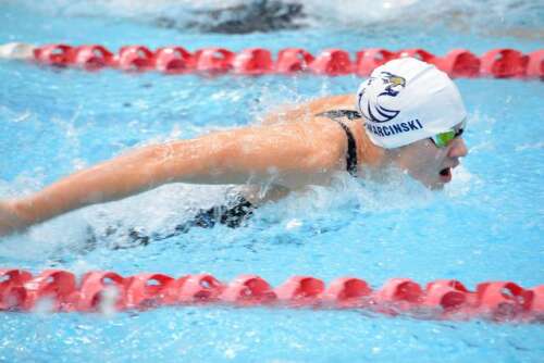 Nighthawk Swimmers And Divers Compete In Class L Championships – The ...
