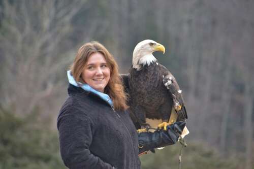 FirstLight’s Shepaug Bald Eagle Observatory Opens, Christine’s Critters ...