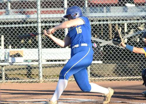 Softball And Baseball Teams Defeated In Title Games – The Newtown Bee