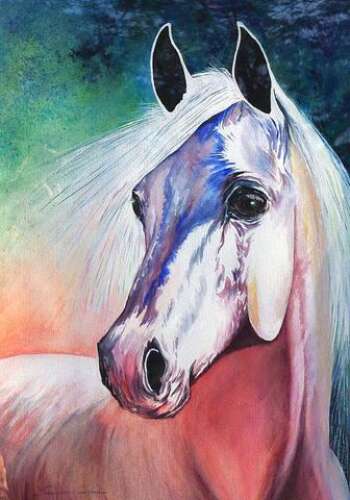 Cointreau To Demo Animal In Watercolor For SCAN – The Newtown Bee