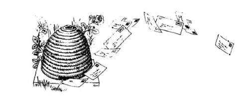 A Letter Of Self-Introduction: Meet Jennifer Nicoletti – The Newtown Bee