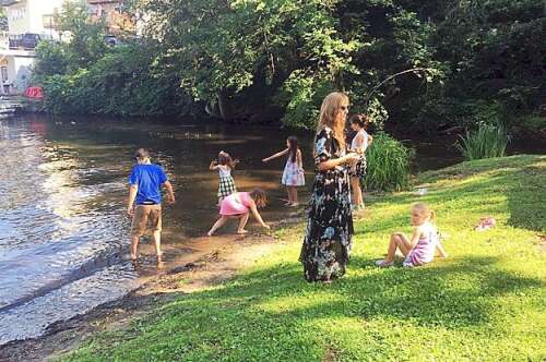 Wetlands Panel Green Lights Riverside On Lake Zoar Association ...