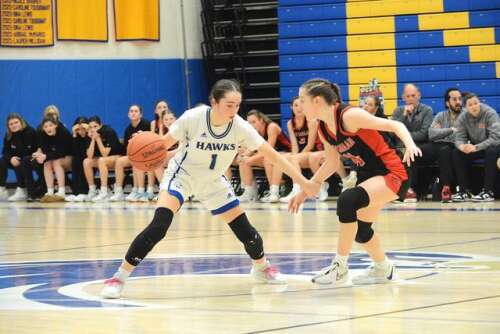 NHS Girls’ Basketball Team Falls In Second Round But Seniors Left Their ...