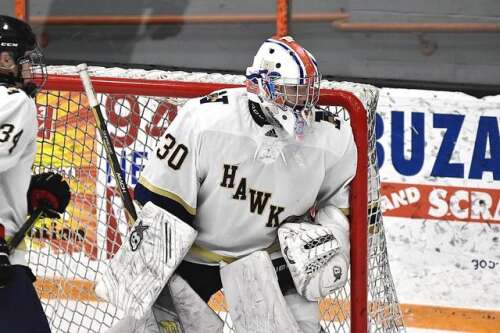 Nighthawk Hockey Team Wins And Qualifies For State Tournament – The Newtown Bee