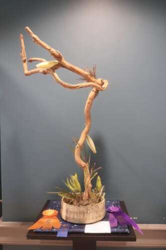 Garden Club Of Newtown Celebrates ‘May In Bloom’ With Standard Flower ...