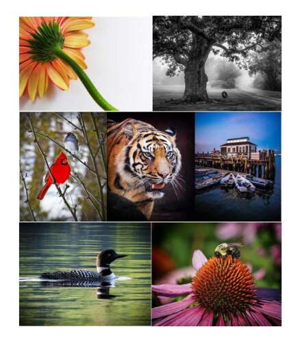 Annual Flagpole Photographers ‘Newtown & Beyond’ Photo Exhibition Opens ...