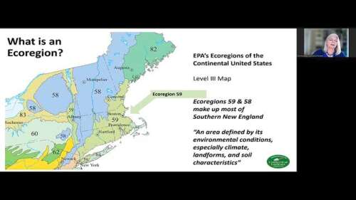 Part Four: Connecticut Invasive Plant Working Group Hosts 2022 Virtual ...